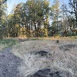 Lake to Lake Trail Loop via Lacamas Creek, Washington - 2,655 Reviews ...