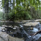 Lake to Lake Trail Loop via Lacamas Creek, Washington - 2,655 Reviews ...