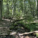 Leaser Lake Trail, Pennsylvania - 666 Reviews, Map | AllTrails