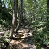 Leaser Lake Trail, Pennsylvania - 666 Reviews, Map | AllTrails