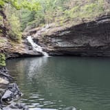 Lula Lake Classic Loop, Georgia - 633 Reviews, Map | AllTrails