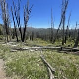 Baker Lake Trail, Idaho - 435 Reviews, Map | AllTrails