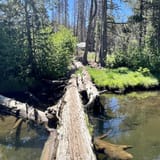 Lake Margaret Trail, California - 1,082 Reviews, Map | AllTrails