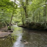 Yarrow Valley Country Park Circular, Lancashire, England - 327 Reviews ...