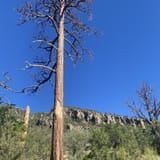 Fatmans Loop Trail, Arizona - 5,587 Reviews, Map | AllTrails