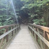 Aman Park Loop, Michigan - 1,677 Reviews, Map | AllTrails