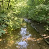 Aman Park Loop, Michigan - 1,677 Reviews, Map | AllTrails