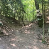 Aman Park Loop, Michigan - 1,677 Reviews, Map | AllTrails