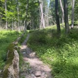 Mount Tammany and Sunfish Pond Loop, New Jersey - 1,120 Reviews, Map ...