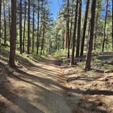 Mars Hill Trail, Arizona - 1,222 Reviews, Map | AllTrails