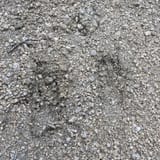 Cheyenne Mountain via Talon and Dixon Trail, Colorado - 819 Reviews ...