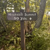 Hawksbill Summit Trail, Virginia - 2,695 Reviews, Map | AllTrails