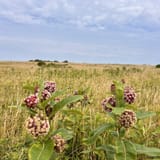Sachuest Point National Wildlife Refuge Trail, Rhode Island - 2,040 ...