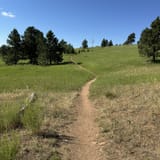Colorow Mountain Forest and Meadow Loop Trail, Colorado - 595 Reviews ...