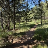 Colorow Mountain Forest and Meadow Loop Trail, Colorado - 595 Reviews ...