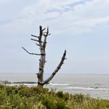 Sachuest Point National Wildlife Refuge Trail, Rhode Island - 2,040 ...