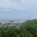 Black Point Trail, Rhode Island - 849 Reviews, Map | AllTrails