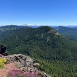 Iron Mountain Trail, Oregon - 595 Reviews, Map | AllTrails