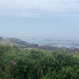 Black Point Trail, Rhode Island - 849 Reviews, Map | AllTrails