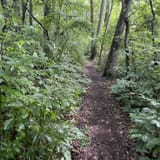 Jones Bridge Trail , Georgia - 3,157 Reviews, Map | AllTrails