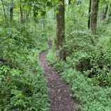 Jones Bridge Trail , Georgia - 3,157 Reviews, Map | AllTrails