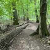 Jones Bridge Trail , Georgia - 3,157 Reviews, Map | AllTrails