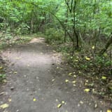 Jones Bridge Trail , Georgia - 3,157 Reviews, Map | AllTrails