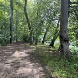 Jones Bridge Trail , Georgia - 3,157 Reviews, Map | AllTrails