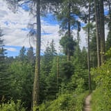 Headwaters Trail, Idaho - 813 Reviews, Map | AllTrails
