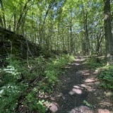 Edgecliff Loop, New York - 327 Reviews, Map | AllTrails