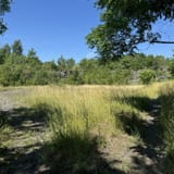 Edgecliff Loop, New York - 327 Reviews, Map | AllTrails