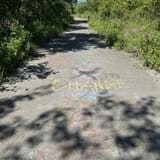 Edgecliff Loop, New York - 327 Reviews, Map | AllTrails