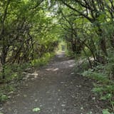 Edgecliff Loop, New York - 327 Reviews, Map | AllTrails
