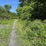 Edgecliff Loop, New York - 327 Reviews, Map | AllTrails