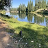 Lake Tabeaud Loop, California - 1,019 Reviews, Map | AllTrails