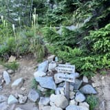Ira Spring Memorial Trail, Washington - 2,335 Reviews, Map | AllTrails