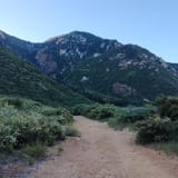 Stoddard Peak, California - 2,345 Reviews, Map | AllTrails