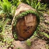 Berry Glen and Lady Bird Grove Trail , California - 564 Reviews, Map ...