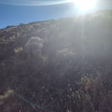 Keystone Canyon Trail, Nevada - 1,213 Reviews, Map | AllTrails