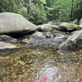 Rainbow Falls Trail, South Carolina - 2,828 Reviews, Map | AllTrails