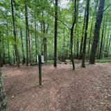 Jones Bridge Trail , Georgia - 3,157 Reviews, Map | AllTrails