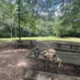 Jones Bridge Trail , Georgia - 3,157 Reviews, Map | AllTrails