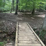 Jones Bridge Trail , Georgia - 3,157 Reviews, Map | AllTrails