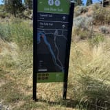 Link River Trail, Oregon - 559 Reviews, Map | AllTrails