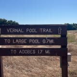 Vernal Pool Trail and Transpreserve Trail Loop, California - 428 ...