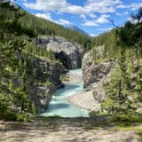 Cline River Trail, Alberta, Canada - 427 Reviews, Map | AllTrails