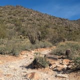 Gateway Loop Trail, Arizona - 11,980 Reviews, Map | AllTrails