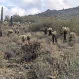 Gateway Loop Trail, Arizona - 11,980 Reviews, Map | AllTrails