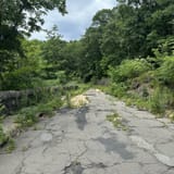 Allison Park Loop, New Jersey - 1,187 Reviews, Map | AllTrails