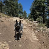 Independence Mountain Trail, Colorado - 5,402 Reviews, Map | AllTrails